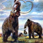 Woolly mammoths Meme Generator - Imgflip