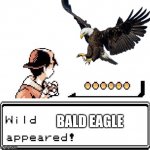 Blank Wild Pokemon Appears Meme Generator - Imgflip