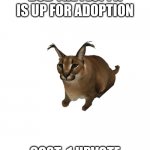 White rectangle Meme Generator - Imgflip