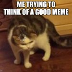 Thinking Cat Meme Generator - Imgflip