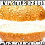 Nothing burger Meme Generator - Imgflip