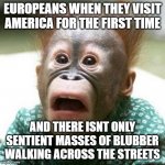 Shocked Monkey Meme Generator - Imgflip