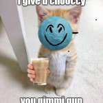 el gato Meme Generator - Imgflip