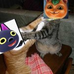 Two cats fighting for real Meme Generator - Imgflip