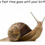 SNAIL Meme Generator - Imgflip