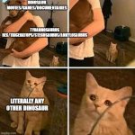 Ignored cat Meme Generator - Imgflip
