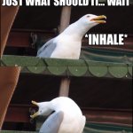 Inhaling Seagull Meme Generator - Imgflip