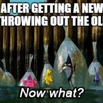 Now What? Meme Generator - Imgflip