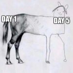 Horse Drawing Meme Generator - Imgflip