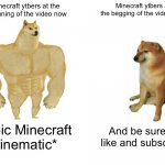 Tiger cub trio Meme Generator - Imgflip