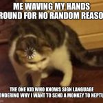 Loading cat Meme Generator - Imgflip