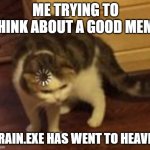 Loading cat Meme Generator - Imgflip