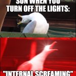 Screaming bird Meme Generator - Imgflip