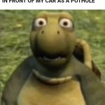 shocked turtle Meme Generator - Imgflip