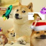 Doge 2 Meme Generator - Imgflip