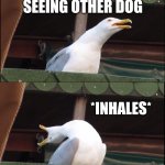Inhaling Seagull Meme Generator - Imgflip