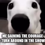 Shivering Dog Blank Template - Imgflip