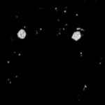 Phase 138 Meme Generator - Imgflip