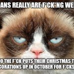 Grumpy Cat Not Amused Meme Generator - Imgflip
