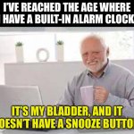 Harold Meme Generator - Imgflip