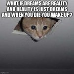 Ceiling Cat Meme Generator - Imgflip