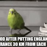 Parrot leaving explosion GIF Blank Template - Imgflip