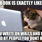 Cat using computer Meme Generator - Imgflip