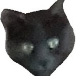 SQUEAKY Meme Generator - Imgflip