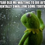 kermit window Meme Generator - Imgflip