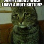 Depressed Cat Meme Generator - Imgflip