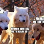 2/3 wolves laugh Meme Generator - Imgflip