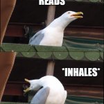 Inhaling Seagull Meme Generator - Imgflip