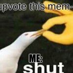SHUT Meme Generator - Imgflip