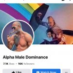 Alpha make dominance Meme Generator - Imgflip