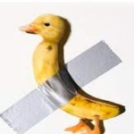 fun - Imgflip Search