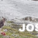 jose Meme Generator - Imgflip