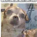 PTSD Chihuahua Blank Template - Imgflip
