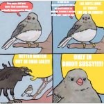 annoyed bird Meme Generator - Imgflip