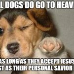 Winking Dog Meme Generator - Imgflip