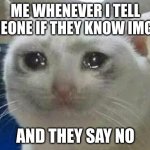 crying cat Meme Generator - Imgflip