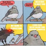 annoyed bird Meme Generator - Imgflip