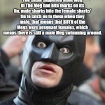 Shocked Batman Meme