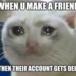 crying cat Meme Generator - Imgflip