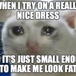 crying cat Meme Generator - Imgflip