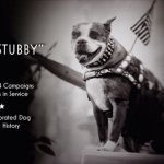 sgt stubby Meme Generator - Imgflip