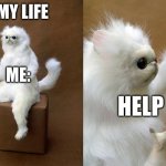 Persian Cat Room Guardian Meme Generator - Imgflip