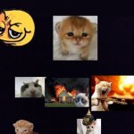 Black screen Meme Generator - Imgflip