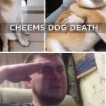 Crying salute Meme Generator - Imgflip