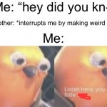 Listen here you little shit bird Meme Generator - Imgflip