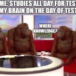 where monkey Meme Generator - Imgflip